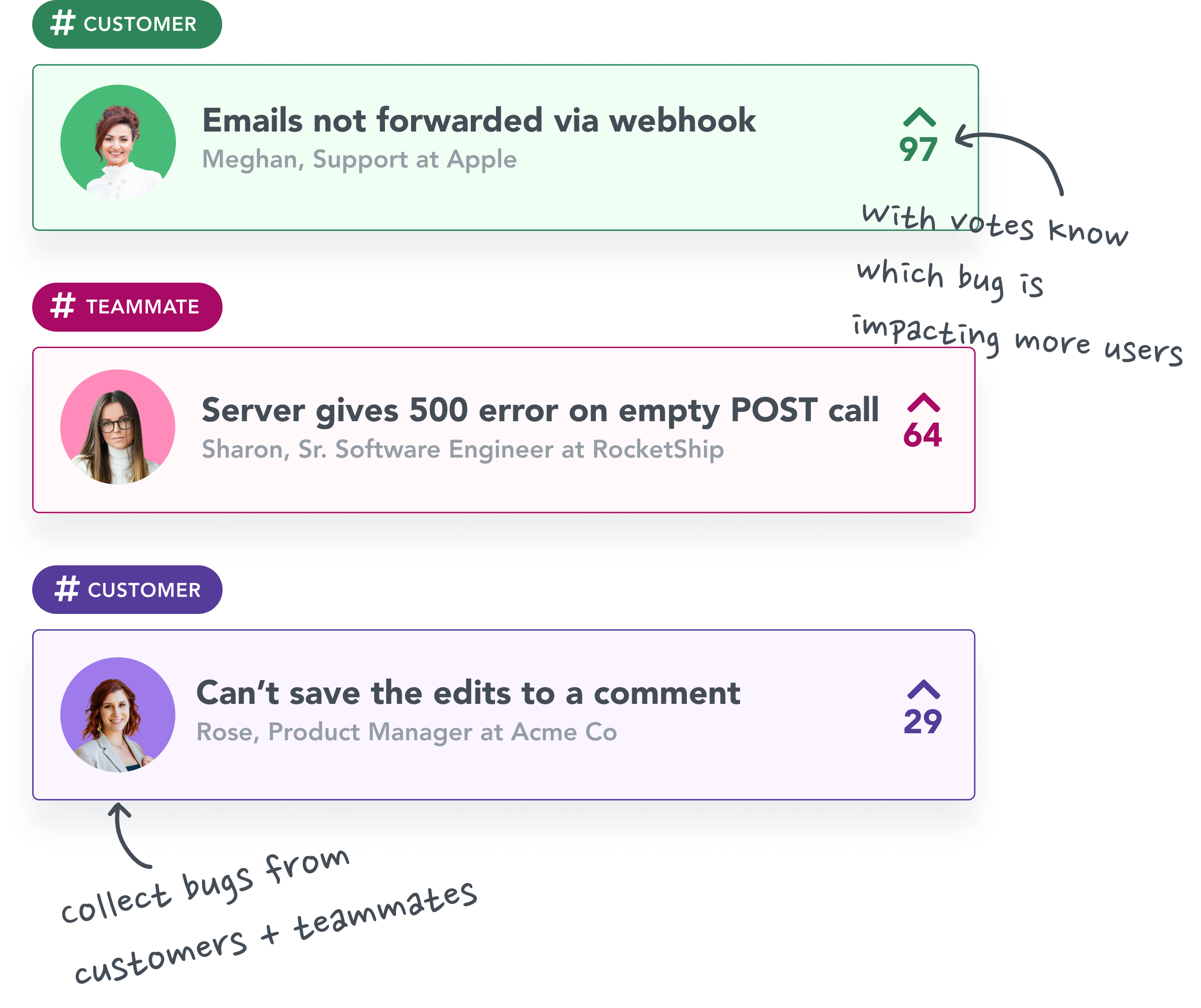 Rapidr Bug Tracking Software Tool